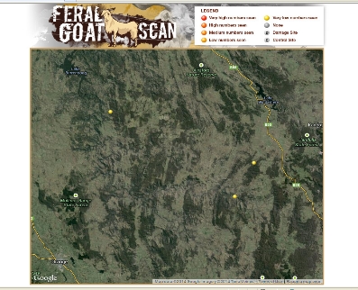 FeralGoatScan > Home